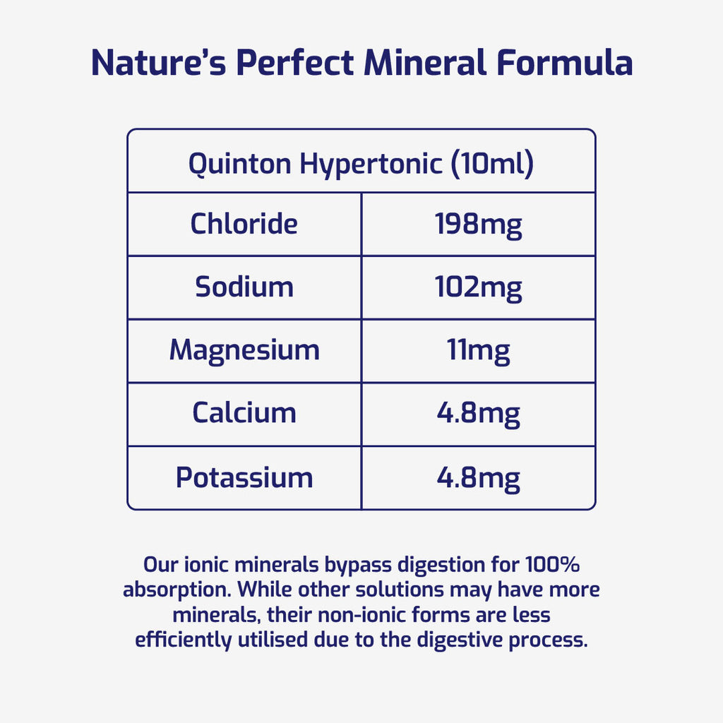 Boundless Energy Bundle – Quinton